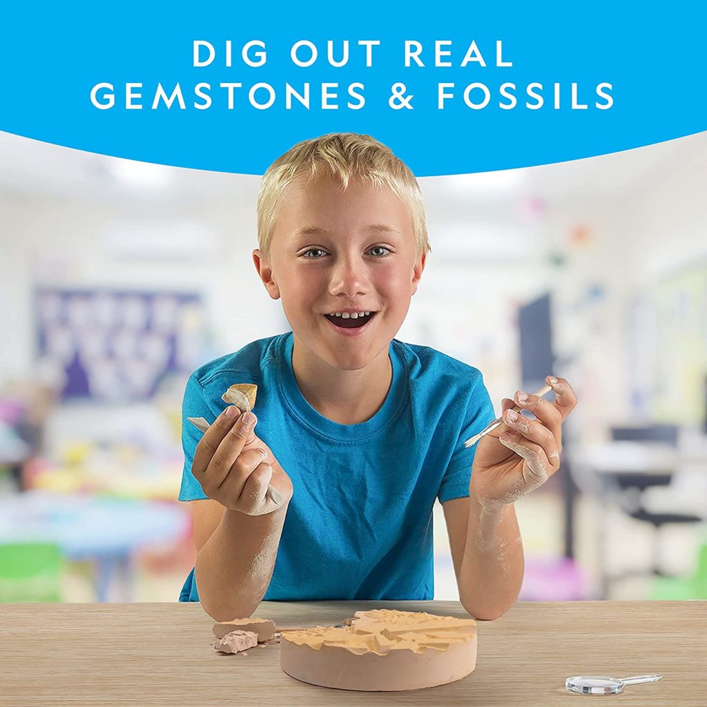 NATIONAL GEOGRAPHIC Mega Fossil and Gemstone Dig Kits | Think Blue Marble
