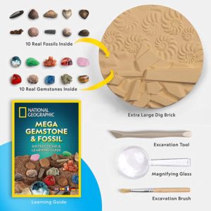 NATIONAL GEOGRAPHIC Mega Fossil and Gemstone Dig Kits | Think Blue Marble