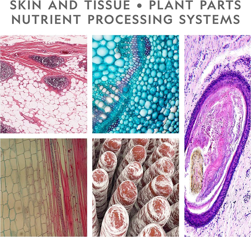 National Geographic Ultimate Dual Microscope | Think Blue Marble