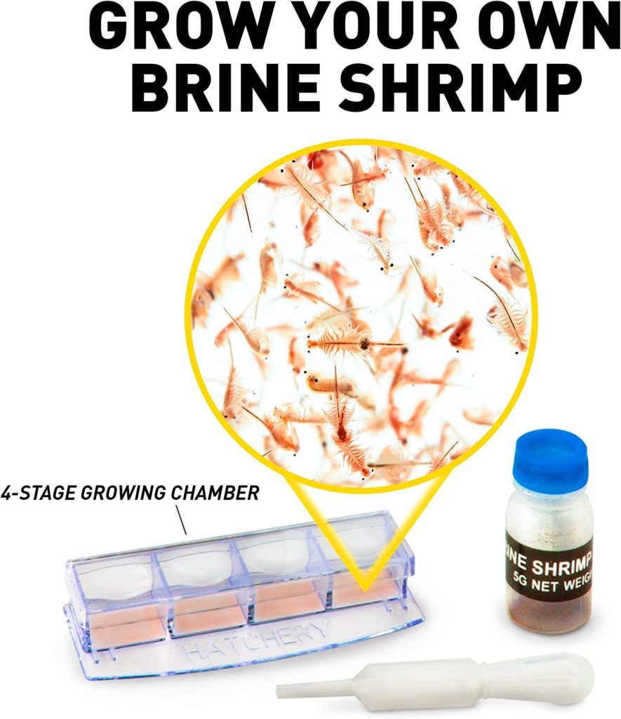 National Geographic Ultimate Dual Microscope | Think Blue Marble