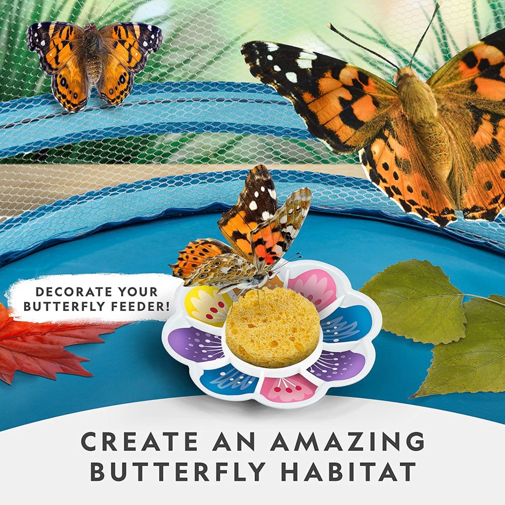 NATIONAL GEOGRAPHIC Butterfly Growing Kit | Think Blue Marble