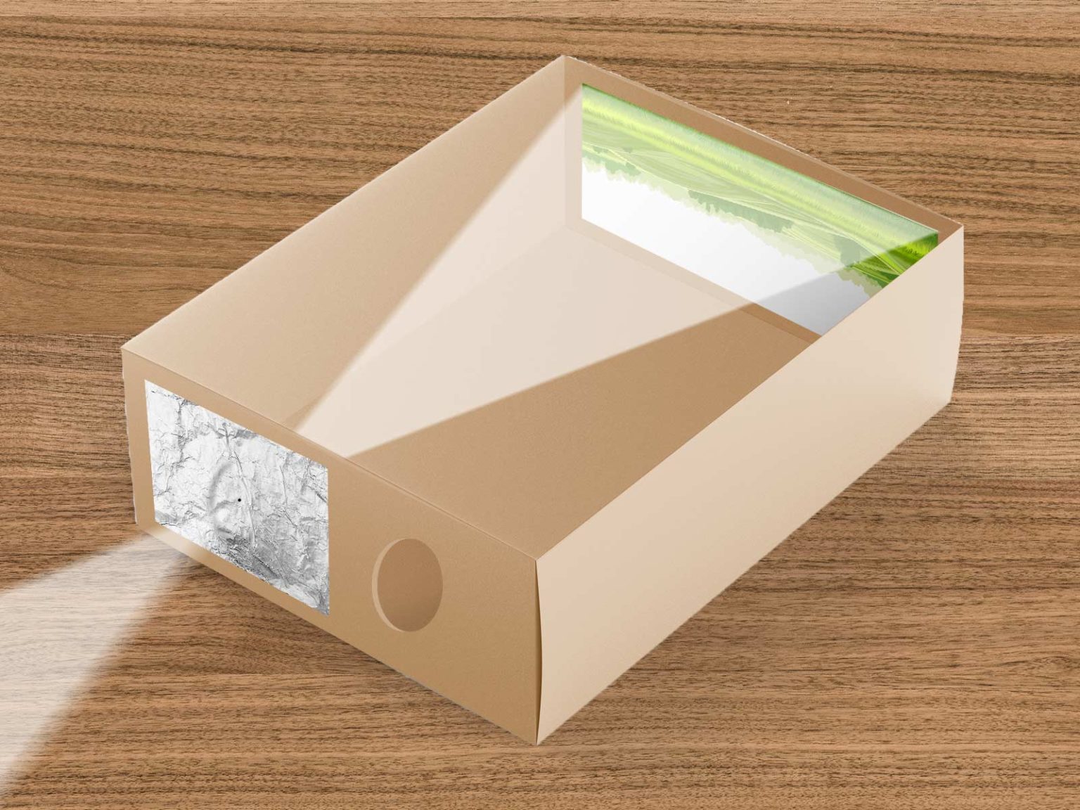 Pinhole Projector | Think Blue Marble