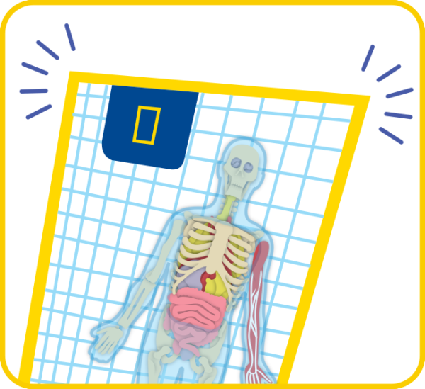 National Geographic Human Anatomy Kit | Think Blue Marble