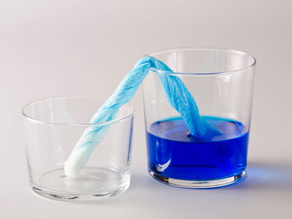 Water Walking | Think Blue Marble